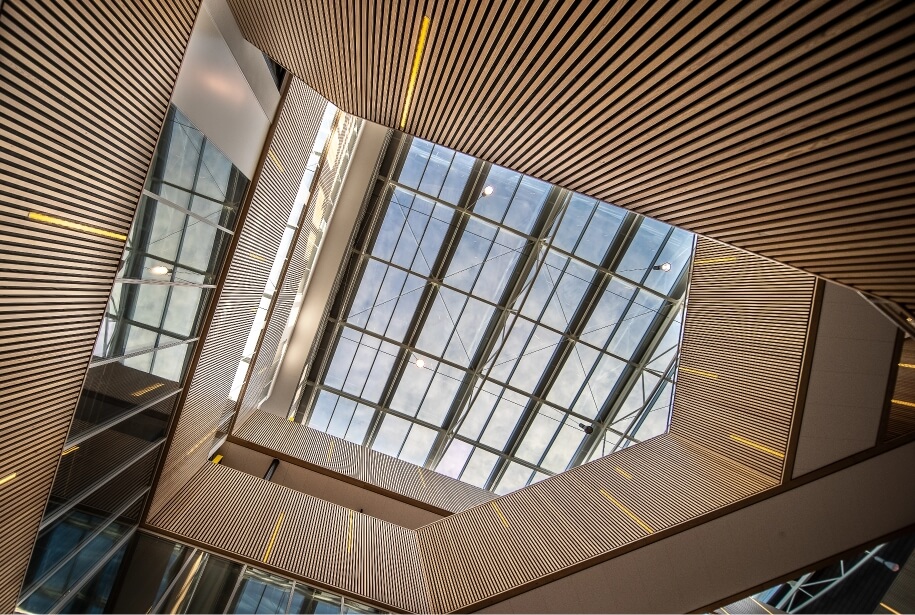 Projects - DirtNerd Earthworks